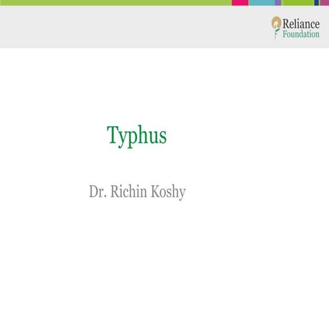 Typhus | PPTX