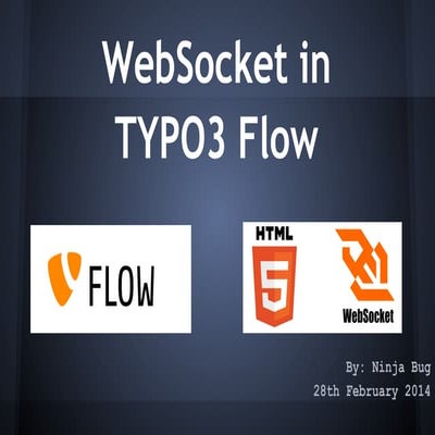 TYPO3 Flow - Web Sockets | PDF