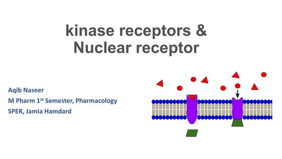 Receptors Regulating Gene Expression (Nuclear Receptors) | PPT
