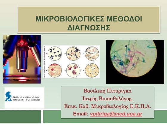 φύλλο εργασίας το ερειστικό σύστημα του ανθρώπου | DOCX