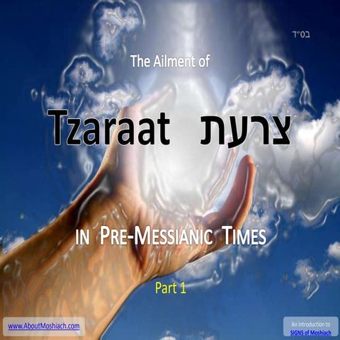 Tzaraat-Part1 | PPT | Free Download