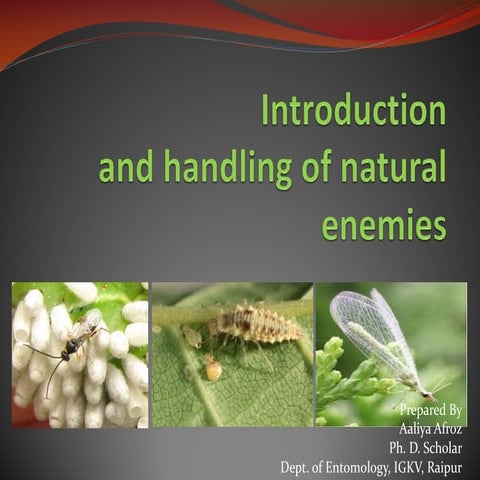 Introduction to handling of natural enemies | PDF | Biological Sciences ...