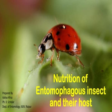 Nutrition of Entomophagous Insect and their Host | PDF