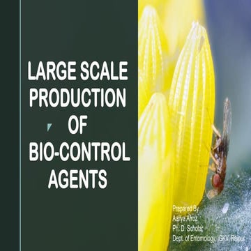Large Scale Production of Biocontrol Agents | PDF