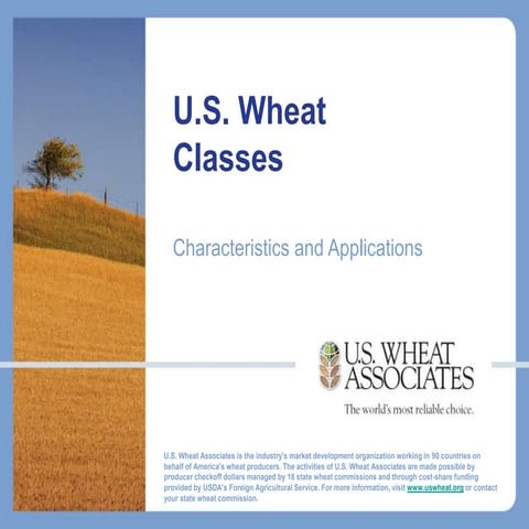 U.S. Wheat Classes and Applications July 2010 | PPT
