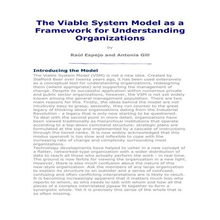 VSM as a framework for understanding organizations | PDF
