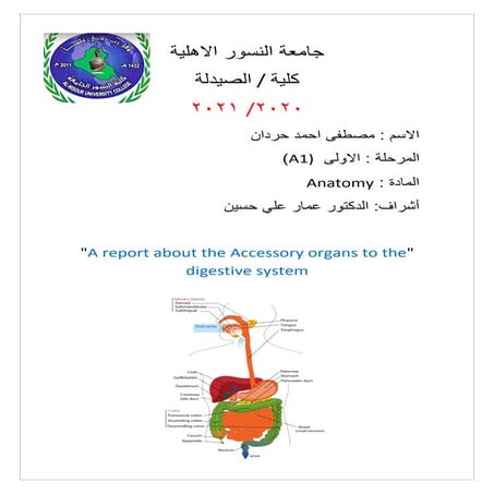 Histology of Gall bladder | PPTX