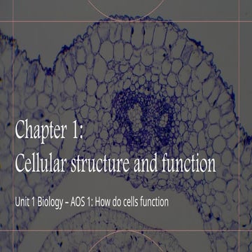 4.Cell structure and function - in Bioengineering.pptx