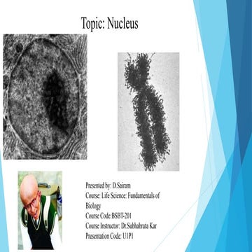 Cell Nucleus | PPTX
