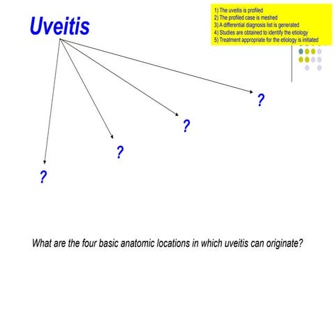 uvietis classification presentation.pptx | Eye and Vision Conditions ...