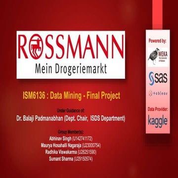 U23000754 data mining final project | PPT