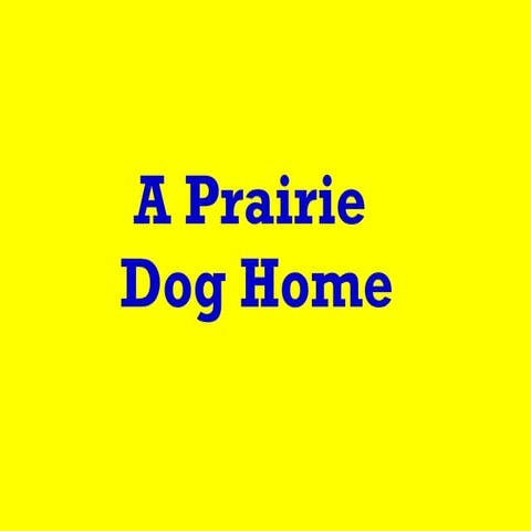 U2a prairie dog home | PPT
