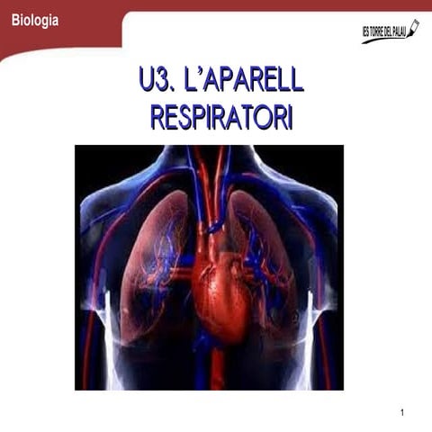 Fitxa unitat l'aparell respiratori | PDF