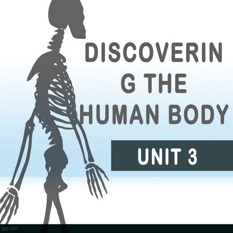 Discovering the human body unit | PPT