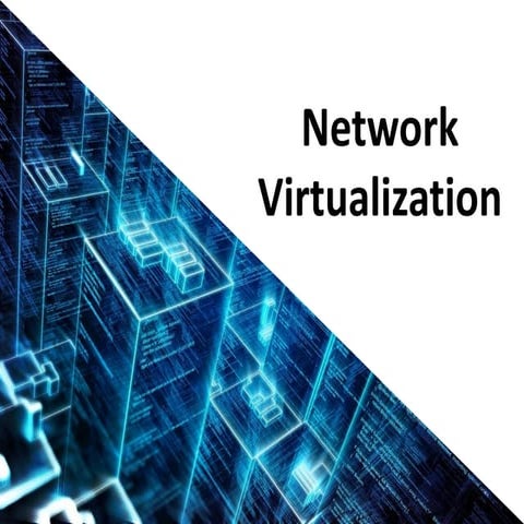 Network Virtualization | PDF | Computer Networking | Computing