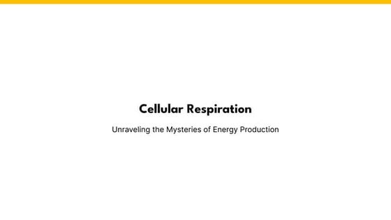 Lesson 4.5 Cellular Respiration in Detailpdf | PDF