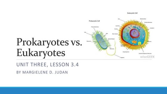 Prokaryotes and eukaryotes powerpoint | PPT | Biological Sciences | Science