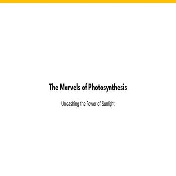 High School Biology Lesson - Photosynthesis.pdf