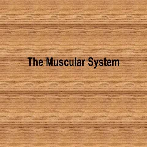 Muscular System.ppt