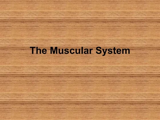 The Anatomy and Physiology of Muscular System.ppt