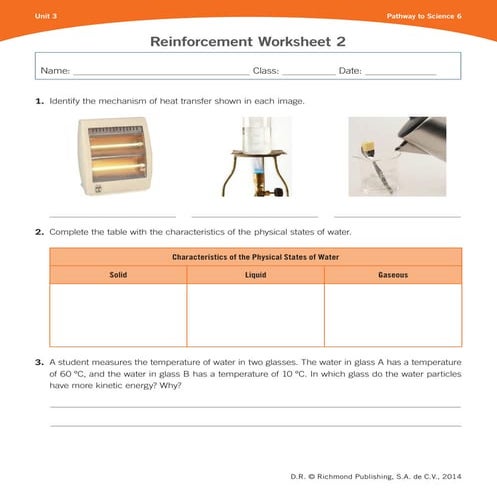U3_Reinforcement_Worksheet2.hoja e refuerzo science | PDF