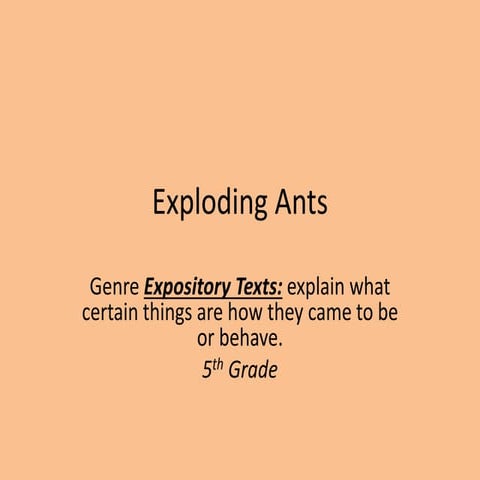 Exploding Ants | PPT