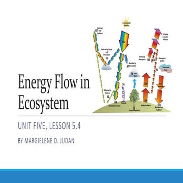 Unit 5, Lesson 4- Energy Flow in Ecosystem | PPTX