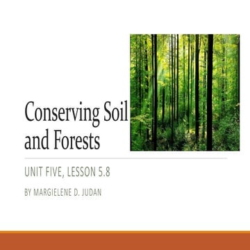 Unit 5, Lesson 5.8- Conserving Soil and Forests | PPT