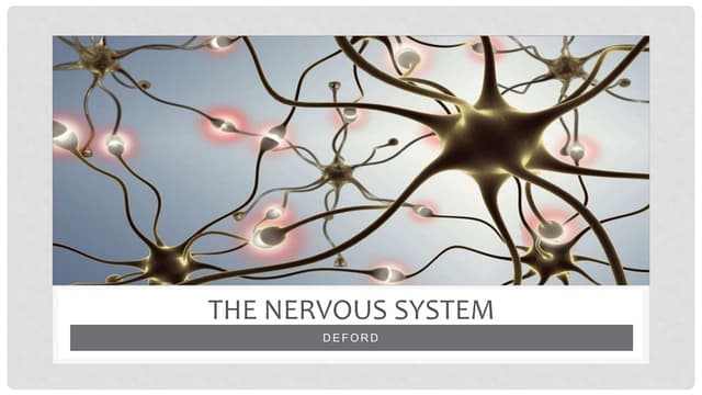 science 10 quarter 3 nervous system presentation | PPTX