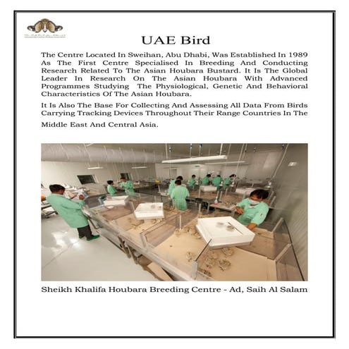 Uae Bird | PDF