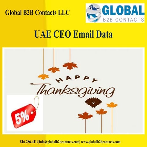 Uae ceo email data | PPT