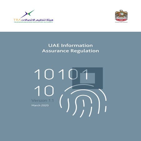 UAE Information Assurance Regulations for IT | PDF