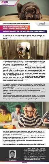 The Barnum Forer Effect | PDF