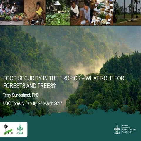 Food security in the tropics: What role for forests and trees? | PPTX