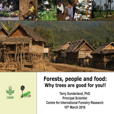 Forests, people and food: Why trees are good for you!! | PPTX