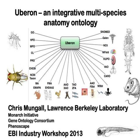 Uberon EBI industry workshop | PPTX