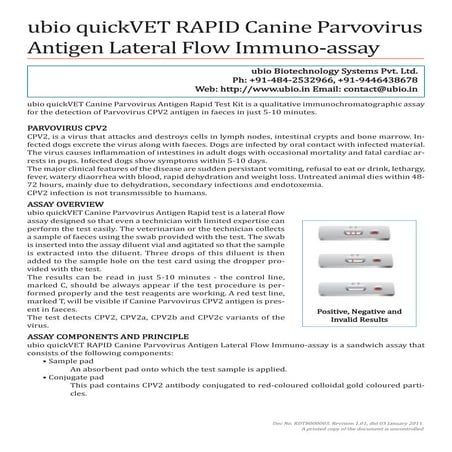 Canine Parvovirus Rapid Test | PDF | Infectious Diseases | Diseases and ...