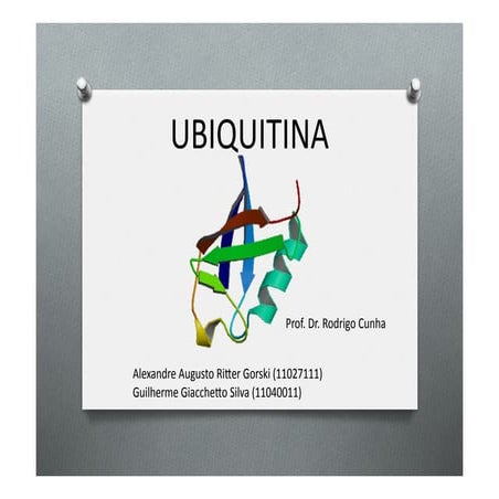 Ubiquitina | PDF