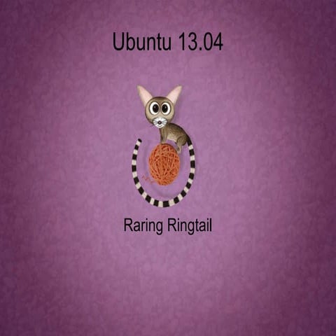 Ubuntu 13.04