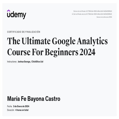 The Ultimate Google Analytics Course For Beginners 2024 | PPT