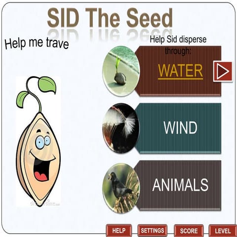 SEED DISPERSAL - Teaching through games | PPT