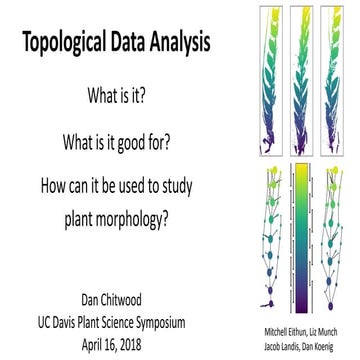UC Davis Plant Science Symposium: Topological Data Analysis | PPT