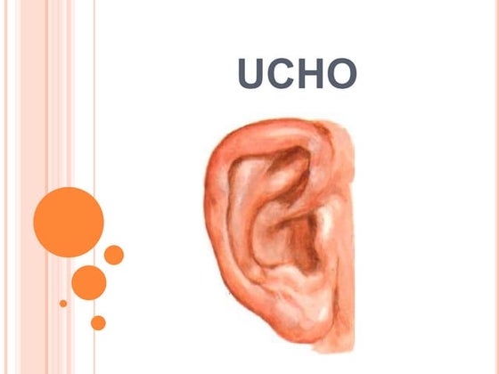 Droga słuchowa - anatomia | PPTX