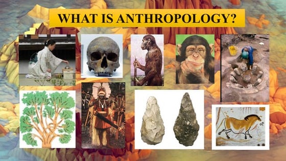 An introduction to archaeology | PPTX