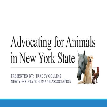 Advocating for Animals in New York State | PPT