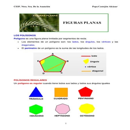 Ud 10 Figuras planas | PDF