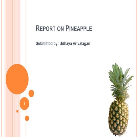 Report on pineapple | PPTX