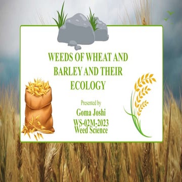 Weeds of wheat and their ecology.pptx