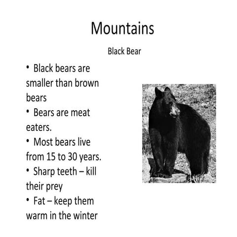 Ms. Dore's Example | PPT