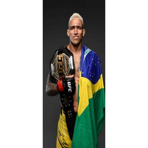 UFC: The Ultimate Fight Night | PPTX